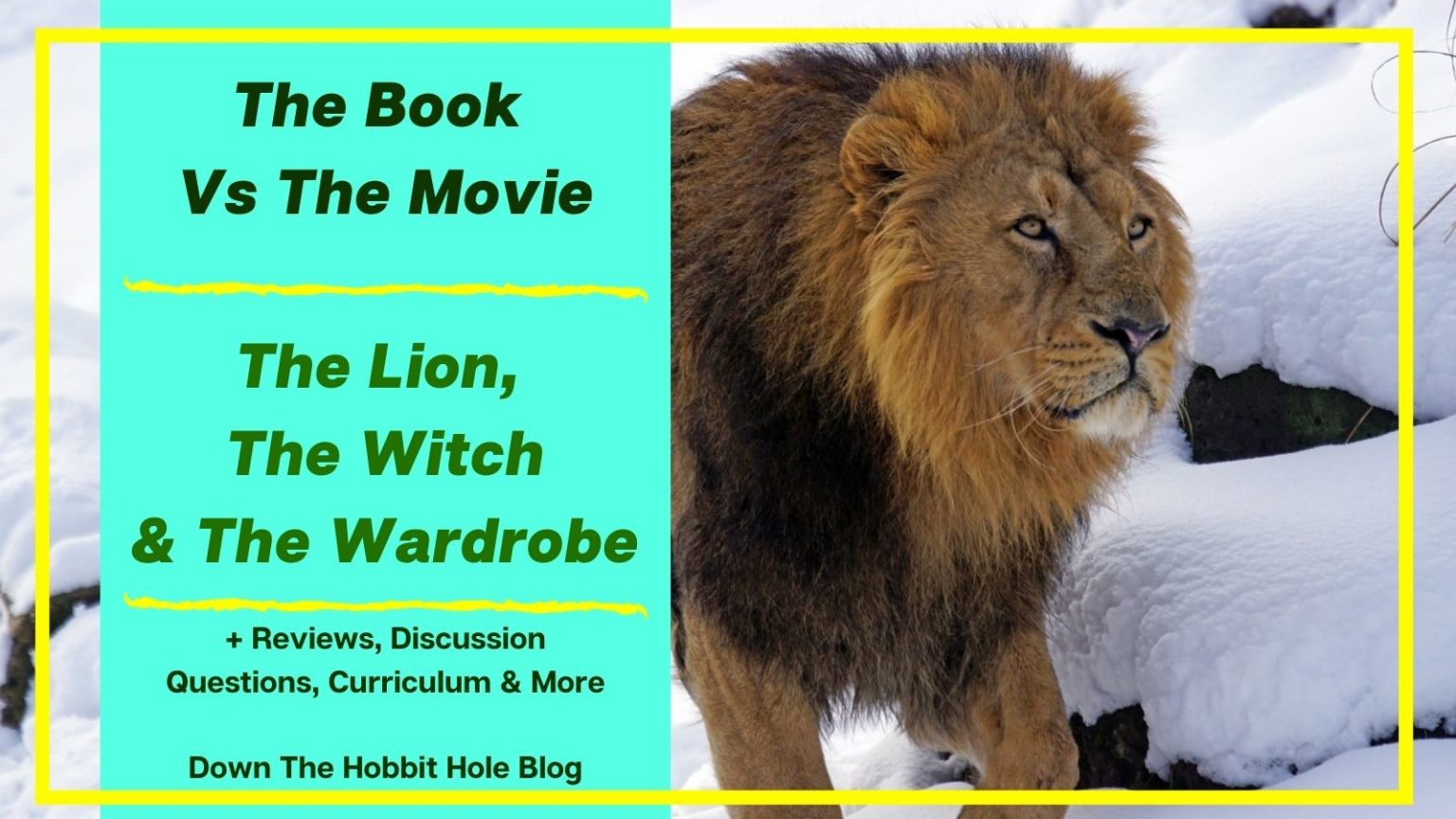 The Book Vs. The Movie: The Lion, The Witch, and The Wardrobe - Down ...
